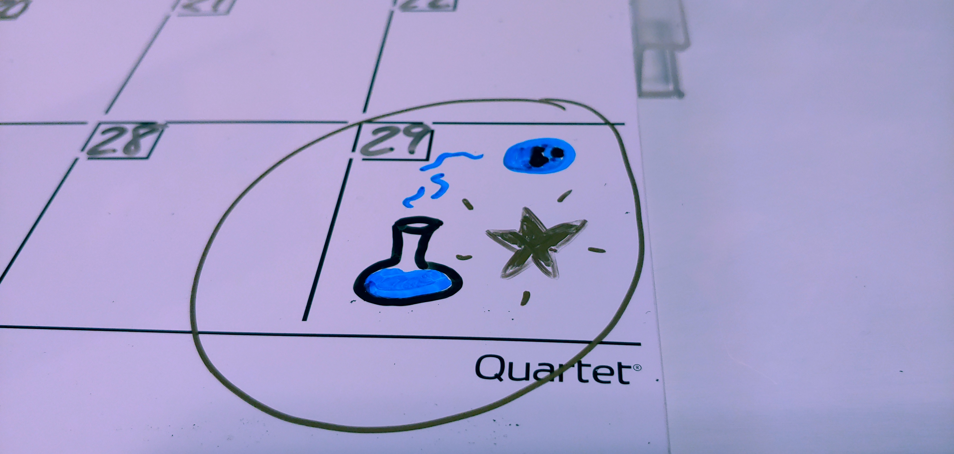 Leap Year - Nat's Nook - Writing - A Day for a New Idea